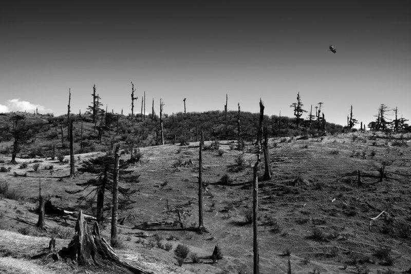 "Landscape 45": Grey Photography (11x17) by Satyaki Biswas | ArtZolo.com