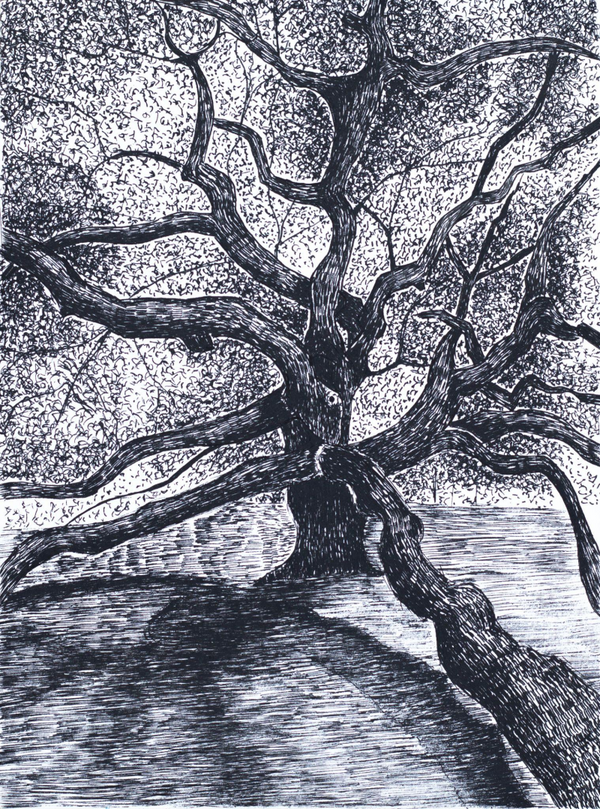 "Resting Canopy": White Nature drawing by Ankit Kushwaha – ArtZolo.com